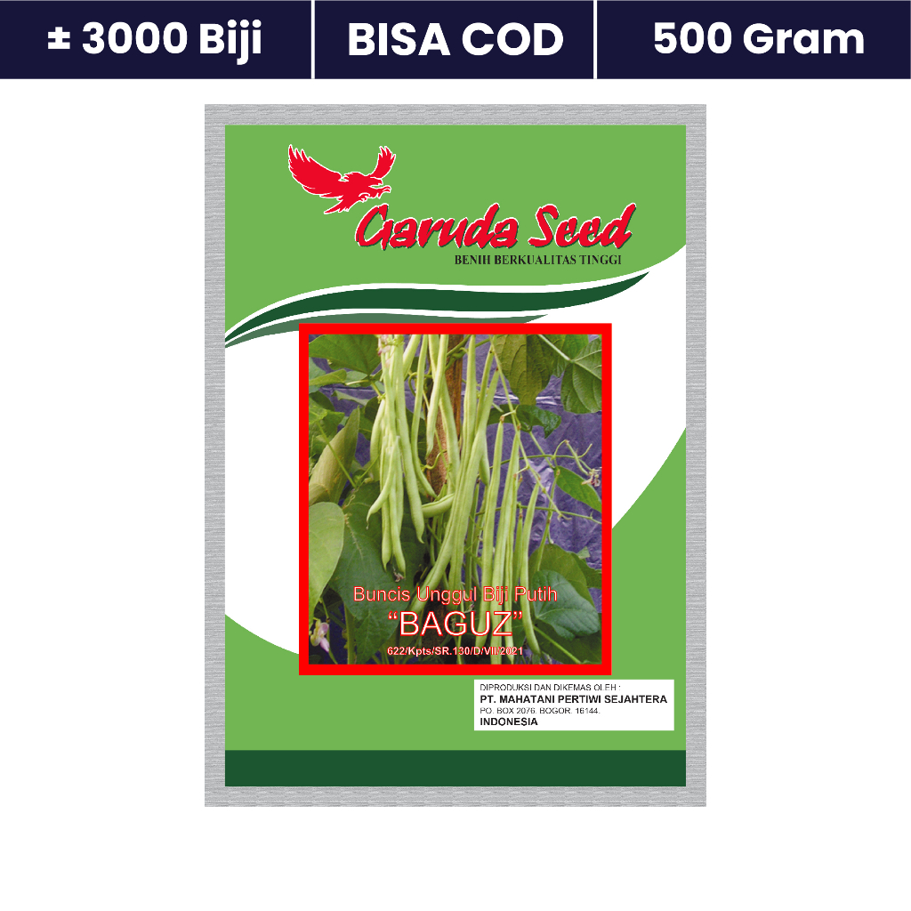Jual Benih Bibit Buncis Putih Unggul Baguz 500 Gram Garuda Seed ...