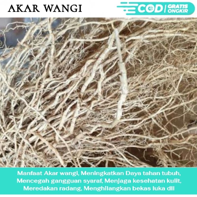 Jual RL Akar wangi super 1kg | Shopee Indonesia
