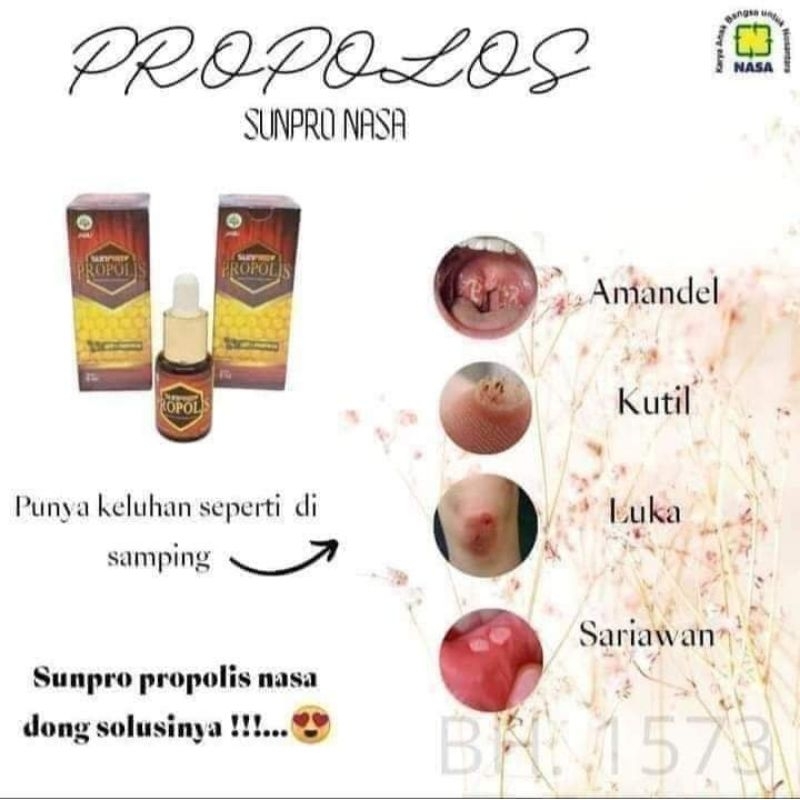 Jual Sunpro/Propolis Nasa/Kesehatan tubuh | Shopee Indonesia