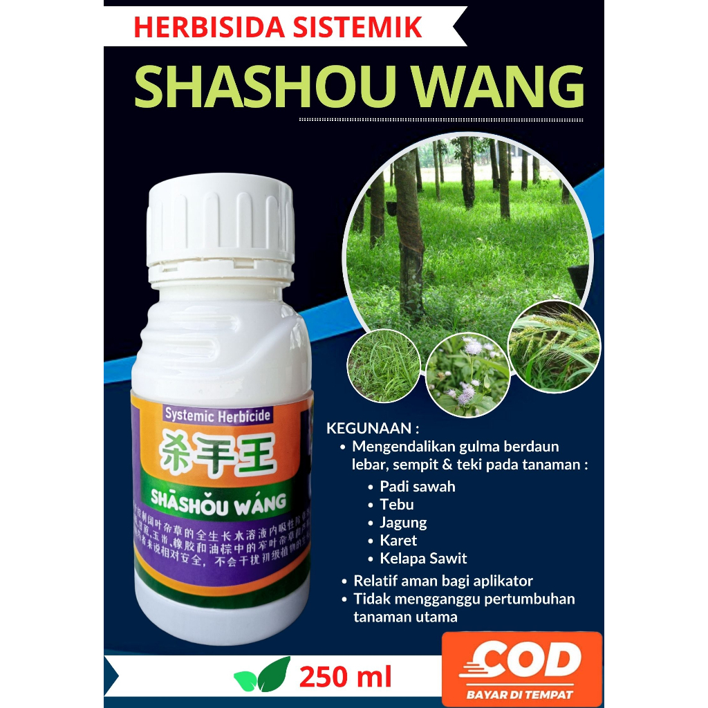 Jual Herbisida Sistemik Pembasmi Gulma Tanaman Padi Karet, Tebu ...