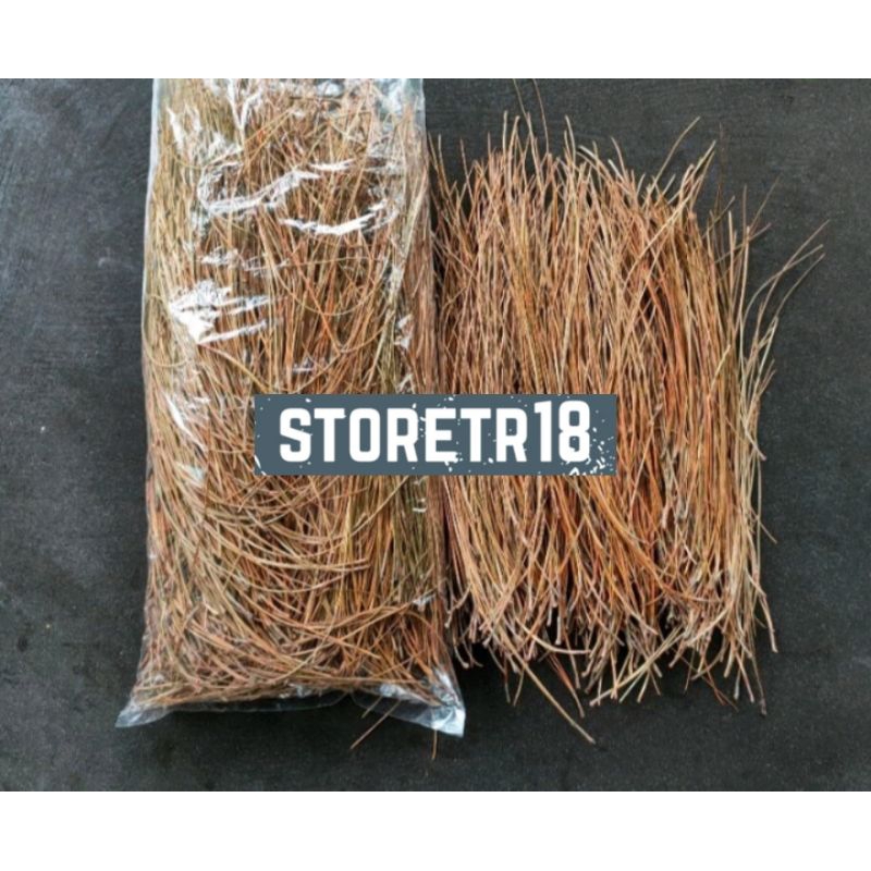 Jual Daun Pinus Kering Berkualitas Paket 1 Kg | Shopee Indonesia