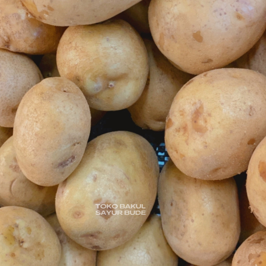 Jual Kentang Per kg - Sayuran Segar - Sayuran Fresh | Shopee Indonesia