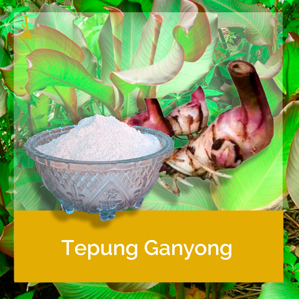 Jual Tepung Ganyong Organik | 1 Kg | Shopee Indonesia