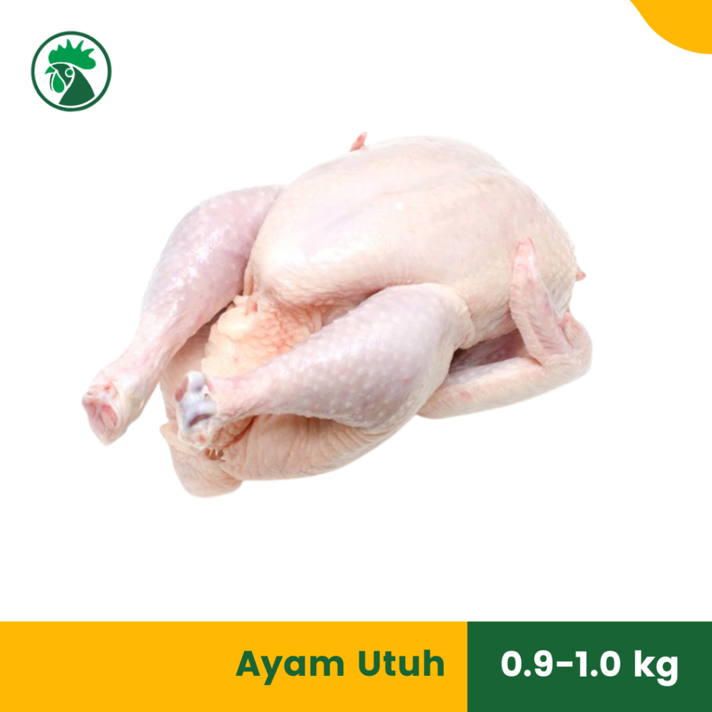 Jual Ayam Potong PREMIUM 1 Ekor | Karkas Utuh - Whole Chicken | Ayam ...