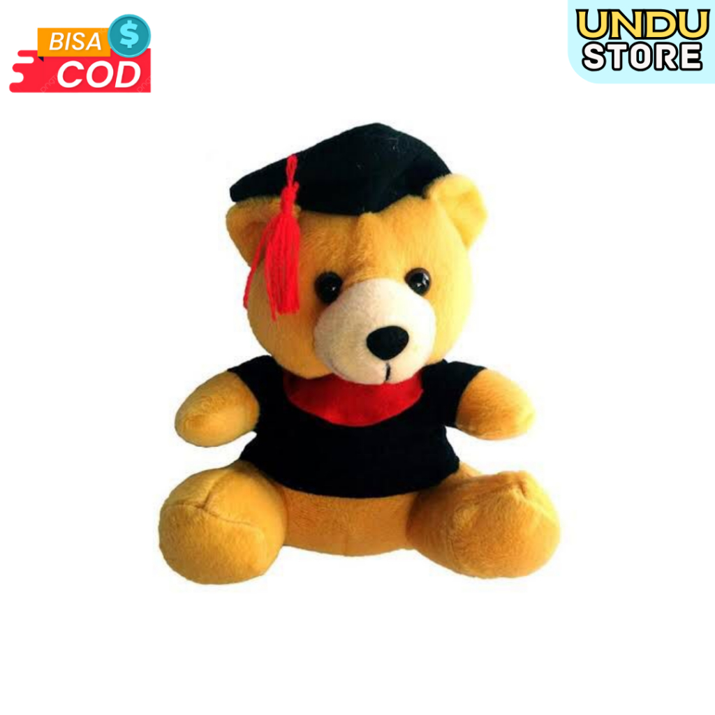 Jual Boneka Beruang Toga / Boneka Wisuda Toga Size 20 cm | Shopee Indonesia