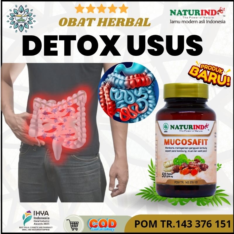 Jual Obat Gangguan Pencernaan Perut Sebah Detox Detoks Usus Kotor ...