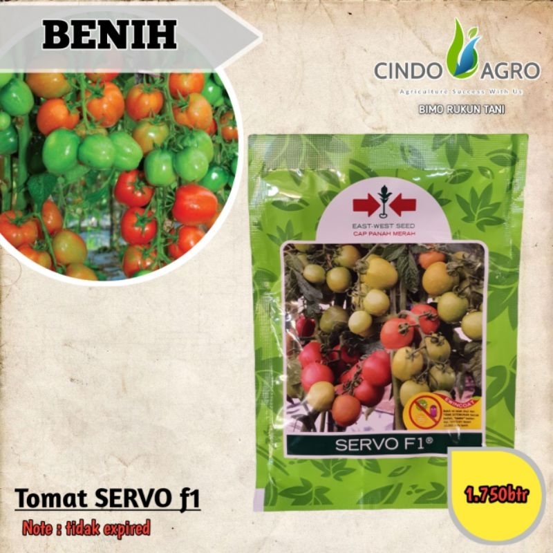 Jual Tomat SERVO F1 (1750 butir) | Shopee Indonesia