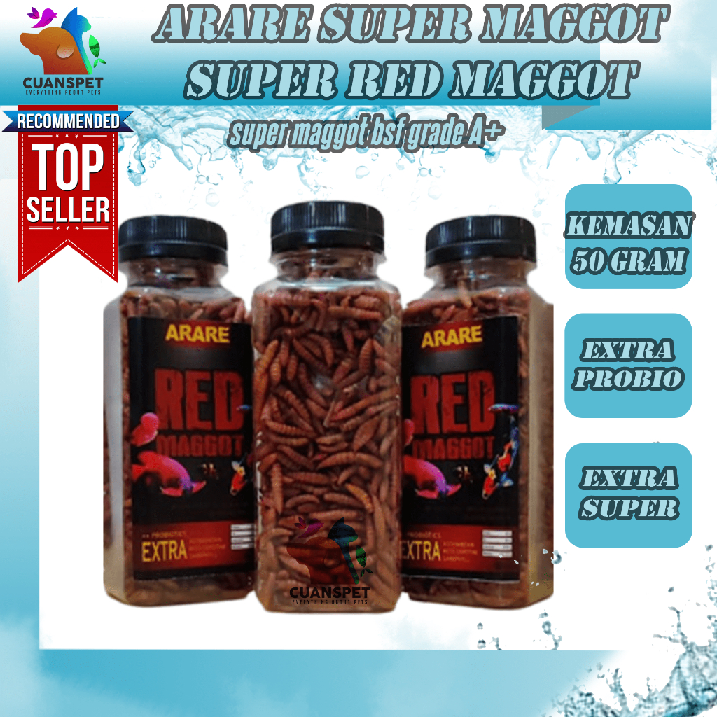 Jual ARARE Super Red Maggot 50g Maggot Bsf Super Grade A Makanan Ikan ...