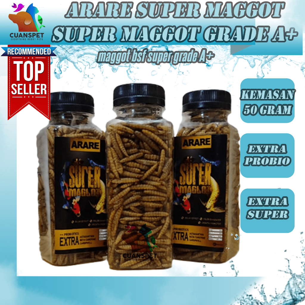 Jual ARARE Super Maggot Series Maggot Bsf Super Kualitas Grade A ...