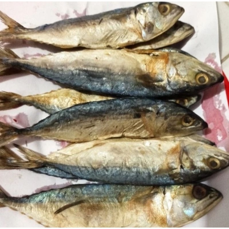 Jual ikan asin peda/pedo/banyar/layang sedang | Shopee Indonesia