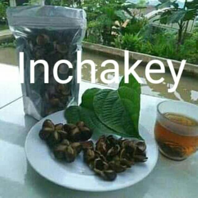 Jual INCHAKEY Teh Herbal Kacang Cangkang Sacha Inchi Penurun Berat ...