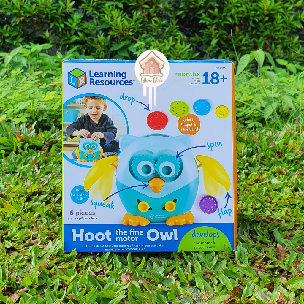 Jual Learning Resources Hoot the Fine Motor Owl | Shopee Indonesia