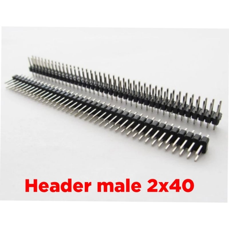 Jual Header male 2x40 Pinhead male 2x40 | Shopee Indonesia