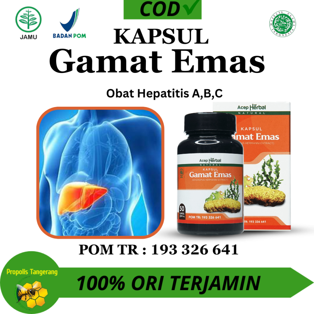 Jual Obat Hepatitis A,B,C,Bronkitis,Tuberculosis - Kapsul Gamat Emas ...