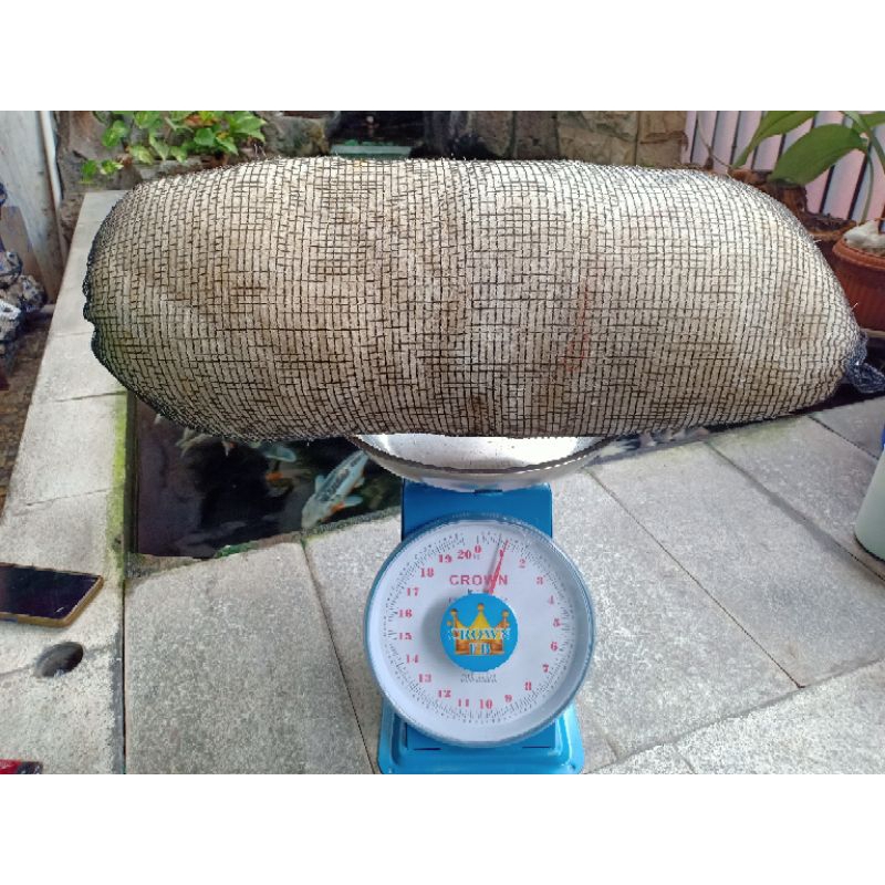 Jual JARING NELAYAN MEDIA FILTER KOLAM | Shopee Indonesia