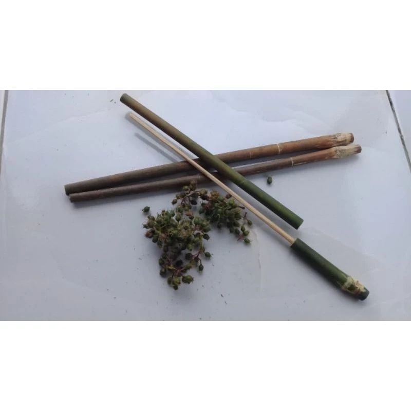 Jual Mainan Tradisional Peletokan Bambu Termurah Harga Perbatang ...