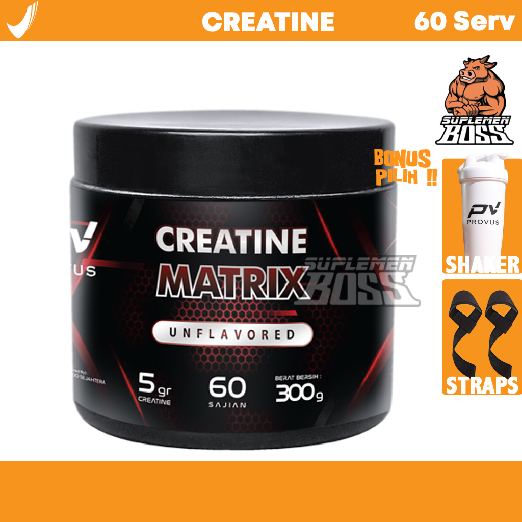 Jual PROVUS CREATINE MATRIX 300g 60 Serving | Shopee Indonesia