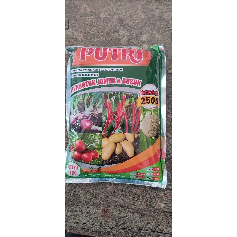 Jual Kalsium plus boron putri kemasan 1kg 2500 mesh | Shopee Indonesia