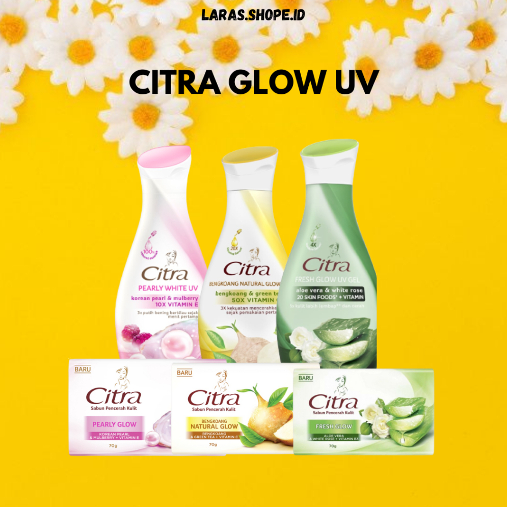 Jual Citra Pearl Glow UV / Citra Bengkoang Natural Glow / Citra ...