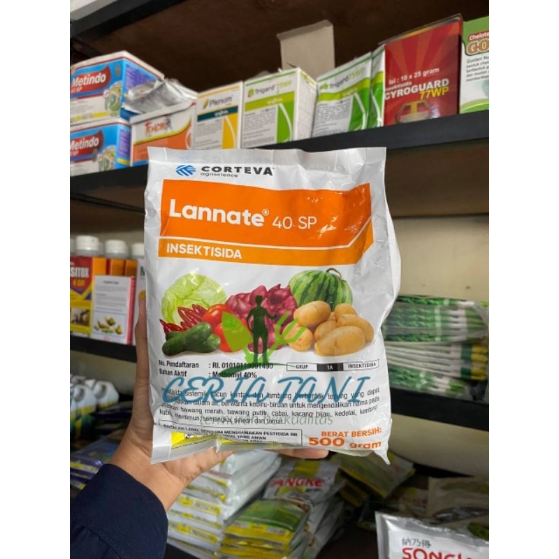 Jual INSEKTISIDA LANNATE 40sp kemasan 500gr | Shopee Indonesia