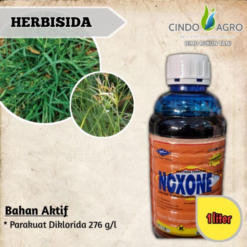 Jual Obat Rumput NOXONE 276 SL 1liter | Shopee Indonesia