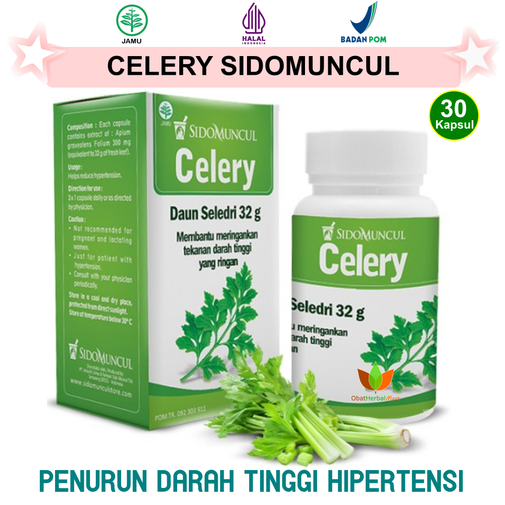 Jual 30 KAPSUL CELERY SIDOMUNCUL CELLERY SELERI DAUN SELEDRI OBAT ...