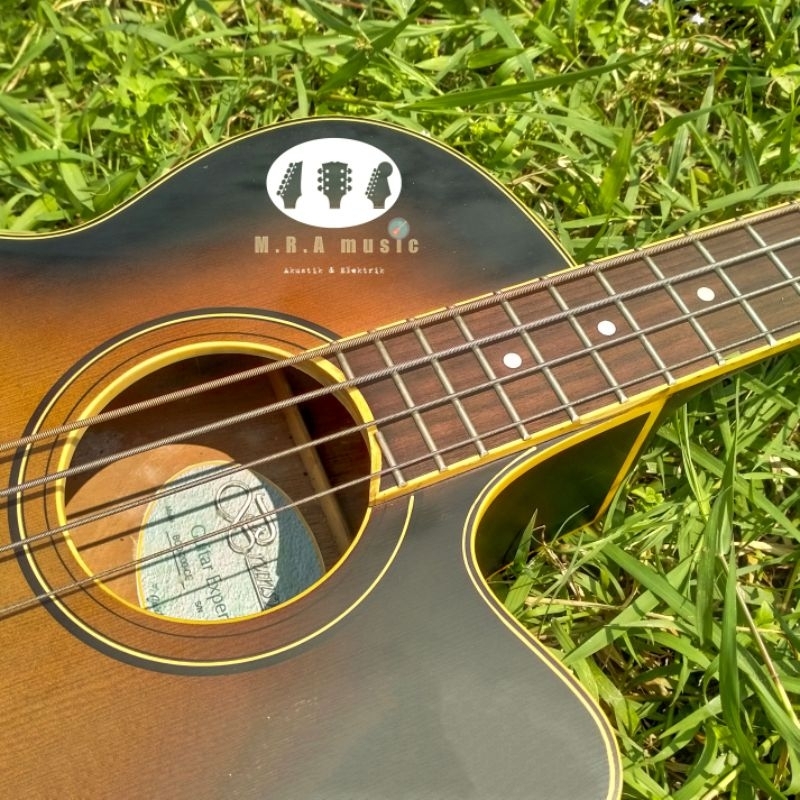 Jual Bass Original & senar daddario | Shopee Indonesia