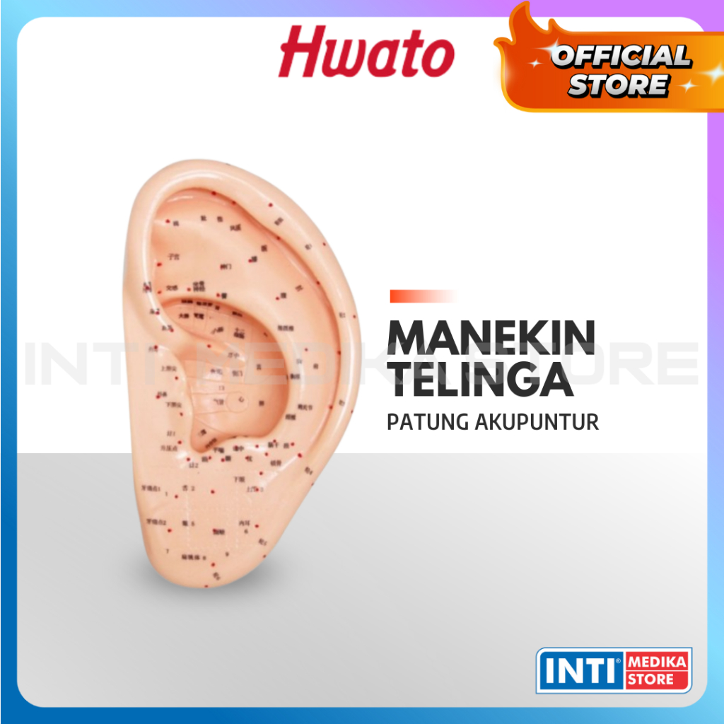 Jual HWATO - Manekin TELINGA Terapi Akupuntur | Patung Akupunktur ...