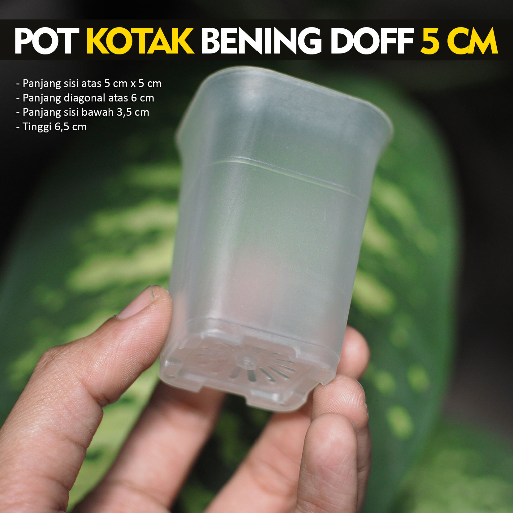 Jual Pot Bening Kotak Mini 5x5 cm - Pot Bening Doff- Pot Bening Tinggi ...