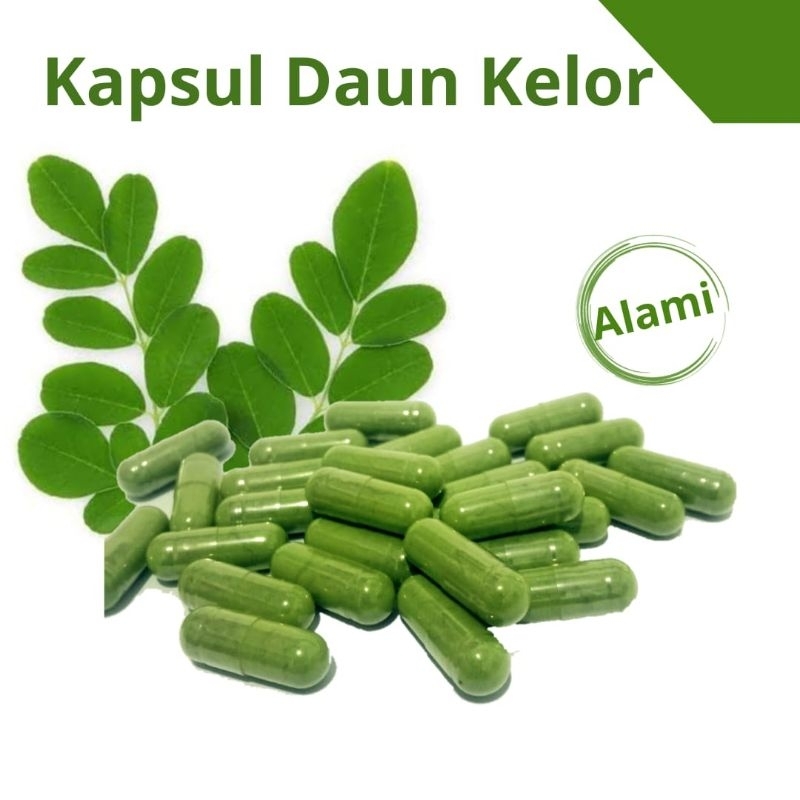 Jual Kapsul Daun Kelor Isi 10 Kapsul Moringa Herbal Antioksidan ...