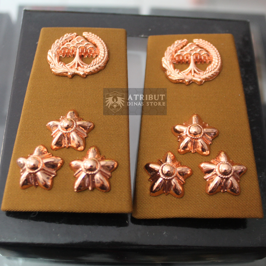 Jual Pangkat PNS Lampung Golongan 2c 2d Pangkat ASN Lampung KAIN ...