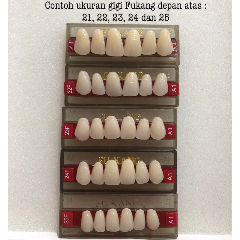 Jual Eceran gigi palsu/ denture anterior/ depan Fukang | Shopee Indonesia