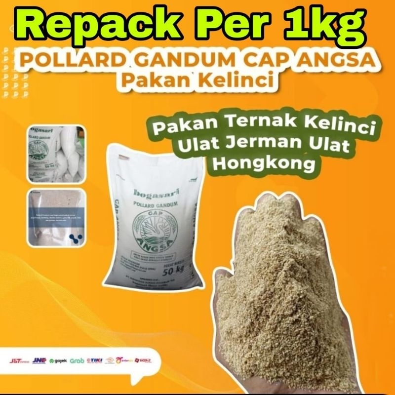 Jual Per 1 Kg Pollard Gandum Cap Angsa Polar pakan ternak makanan ...