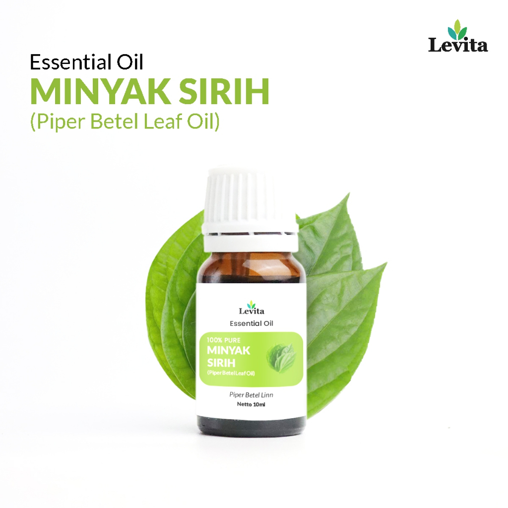 Jual Levita Minyak Sirih Murni Piper Betel Oil - Pure Minyak Atsiri Murni Essential Oil ...