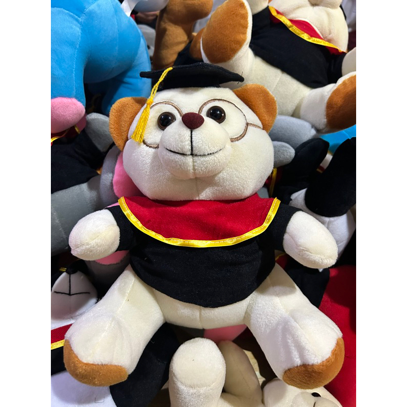 Jual boneka L toga bear/ boneka wisuda besar | Shopee Indonesia