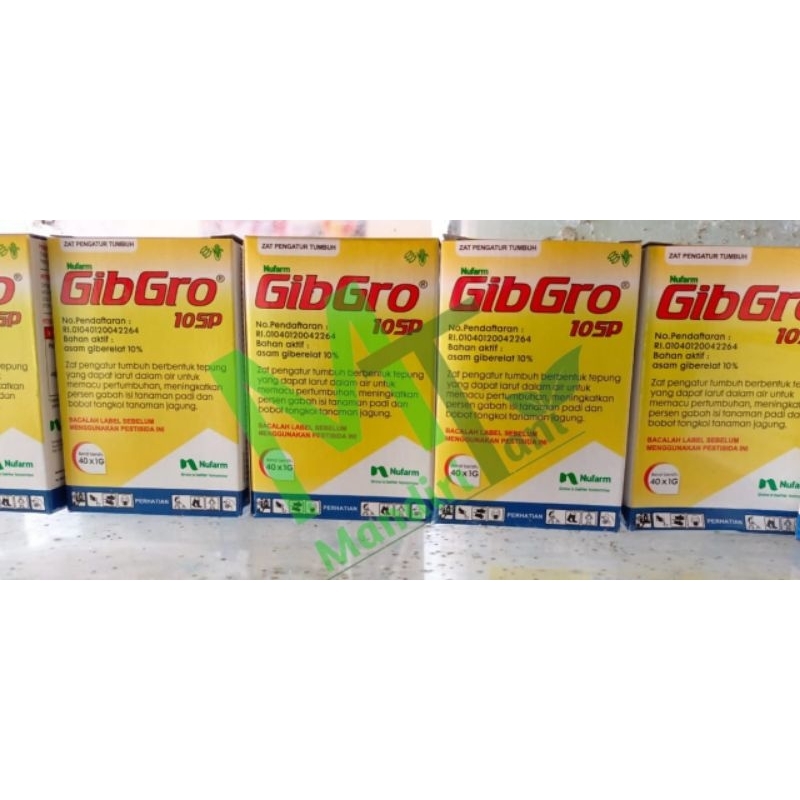 Jual Gibro 10Sp per pcs | Shopee Indonesia