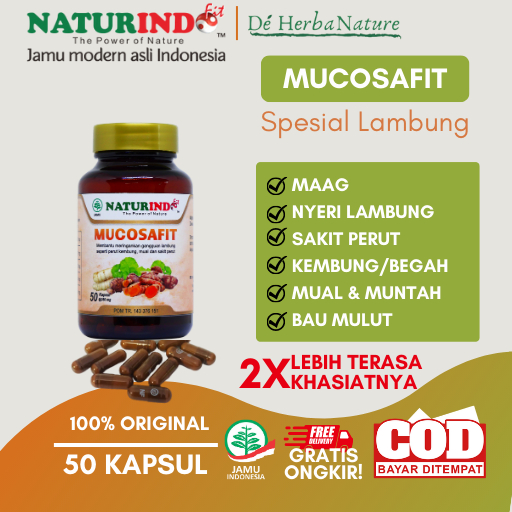 Jual Obat Asam Lambung Tinggi Maag HErbal Gerd Sakit Perut Melilit ...