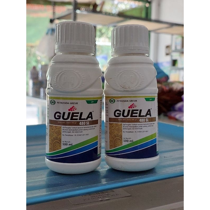 Jual ZPT GUELA 480 SL - 100 ML (UNTUK MEMPERCEPAT MATANGNYA BUAH ...