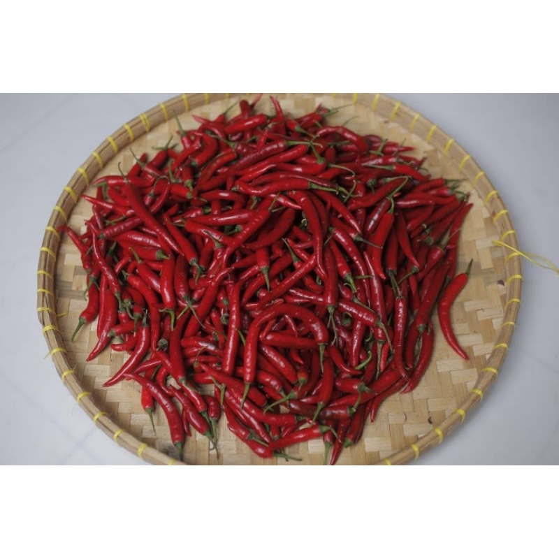 Jual Cabai Besar - Lombok Merah Besar Ori | Shopee Indonesia