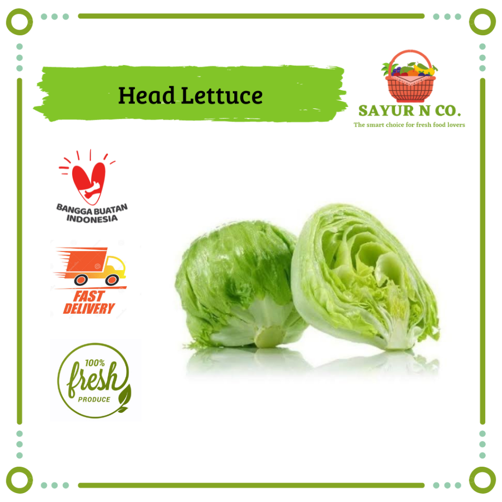Jual Selada Iceberg / Head Lettuce / Selada Kebab / Iceberg Lettuce ...
