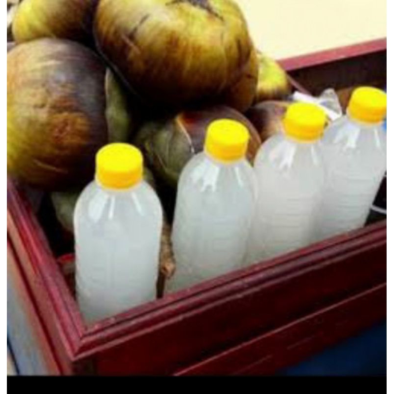 Jual Air Legen Khas Tuban Jawa Timur 1,5Ltr | Shopee Indonesia
