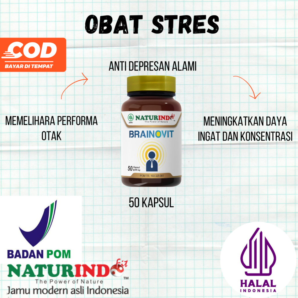 Jual Obat Stres Anti Depresan Konsentrasi Daya Ingat Jamu Brainovit ...