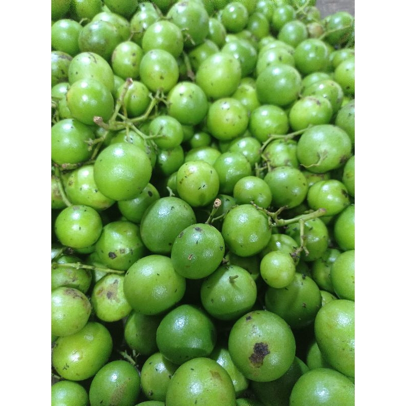 Jual Gandaria/jatake siap kirim 250-1000gram | Shopee Indonesia