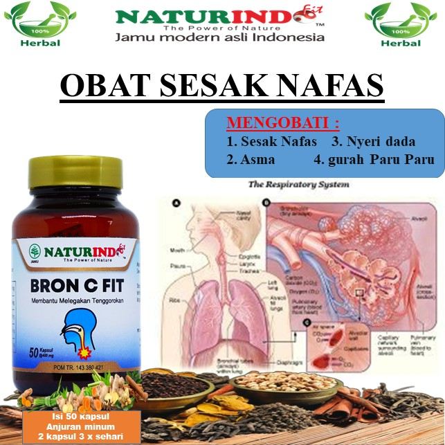 Jual Obat Sesak Nafas asma Nyeri Dada Gurah Paru | Shopee Indonesia