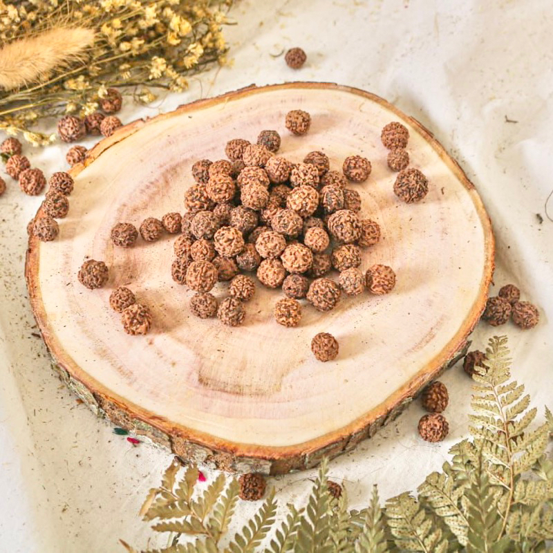 Jual BIJI BIOLA CANTIK DAUN PALM/PALEM BESAR Dekorasi Daun Rustik ...