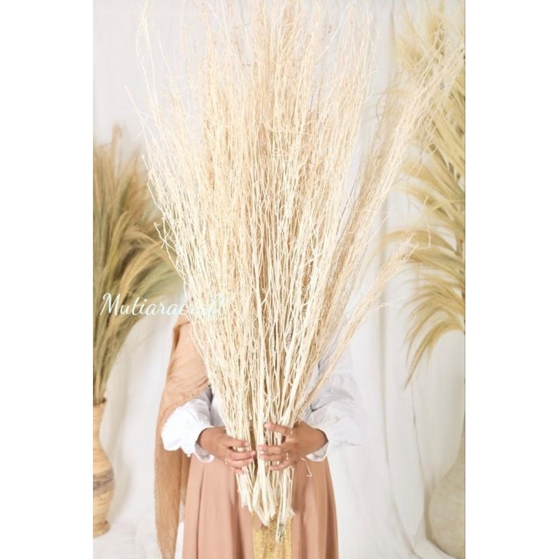 Jual ranting Ranting Putih Hiasan Rumah Dekorasi Buket Bunga Kering ...