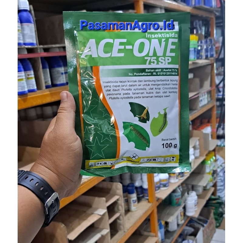 Jual INSEKTISIDA ACE-ONE 75 SP - 100 GRAM | Shopee Indonesia