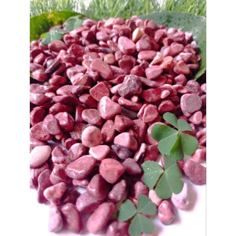Jual Red Gravel Stone Aquascape Batu gravel merah Batu hias Aquarium ...