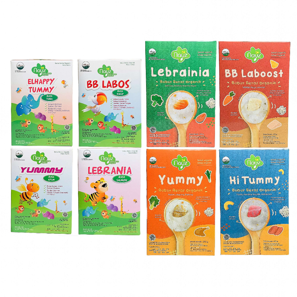 Jual NAYZ Bubur Tim Bayi Organik | Bubur Mpasi Homemade Organik Tematik ...