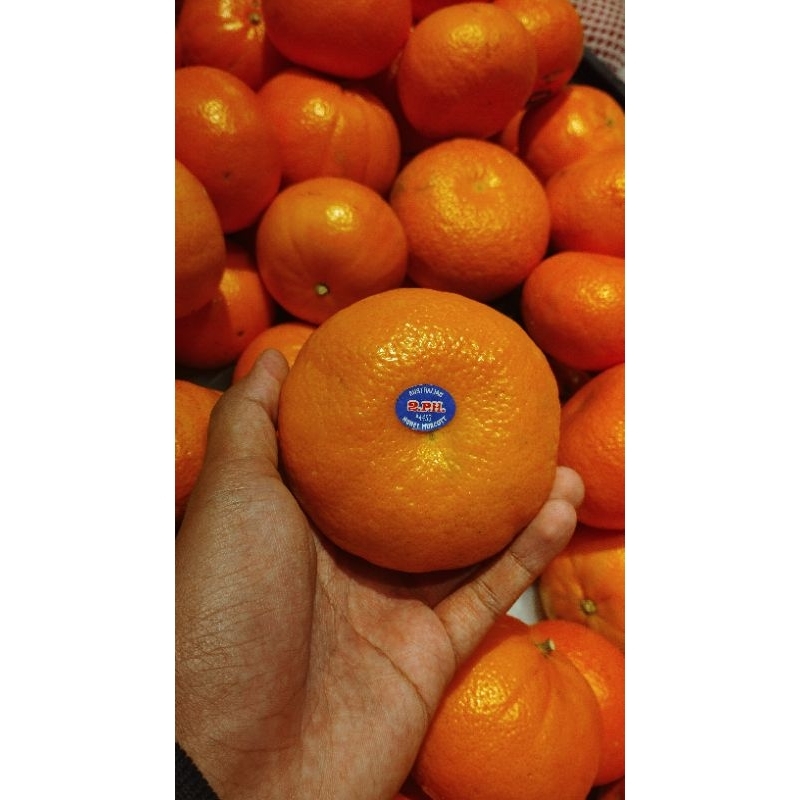 Jual Jeruk Honey murcot super jumbo Australia | 1 kg | Shopee Indonesia